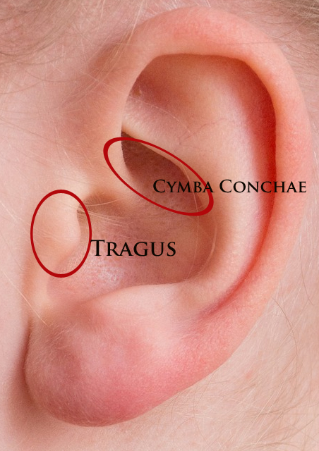 Transcutaneous Vagus Nerve Stimulation (tVNS) For Long Covid - Guide To ...